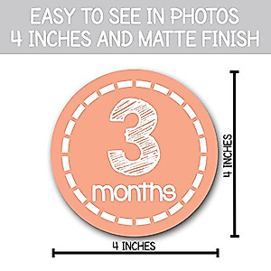 Baby Monthly Stickers Girl Milestone Month - Newborn Infant Shower Gift Keepsake (Set of 36)