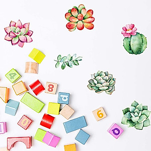 CozyDecor 36 Pcs Succulent Decals for Wall, Succulents Classroom Decorations for Teachers Bulletin Board,Succulent Theme Classroom Decor A655