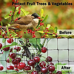 POYEE Garden Netting - 7 x 65 FT Heavy Duty Garden Net for Vegetables and Fruit Trees