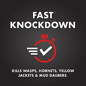 Spectracide PRO Wasp& Hornet Killer 18oz (Pack of 12)