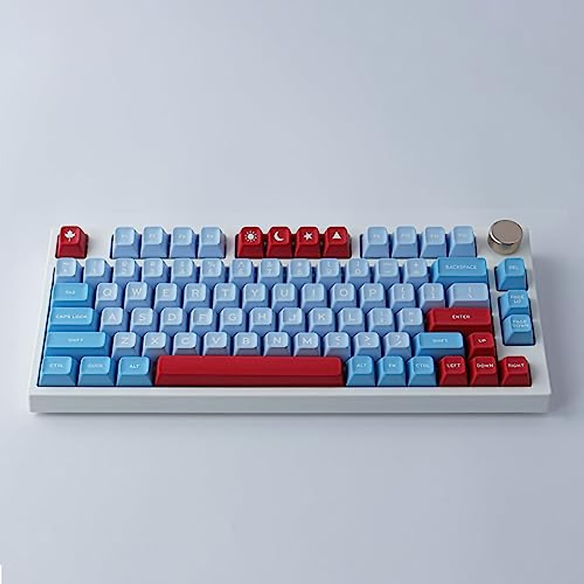 Tsungup keycaps - DoubleShot Keycaps, 173 Keys ABS Keycaps SA Profile Dye Sublimation Falan Custom Keycaps Full Set for Cherry MX Switches Mechanical Keyboards with 2.25u,2.75u,3u, 6.25u,7u Spacebar