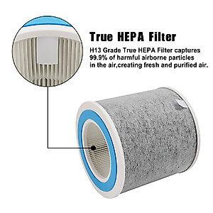 HP102 True HEPA Replacement Filter Compatible with Shark Air Purifier HP100, HP102, HC450, HC451, HC452, HC455, Compares to Part # HE1FKBAS and HE1FKPET 2PACK