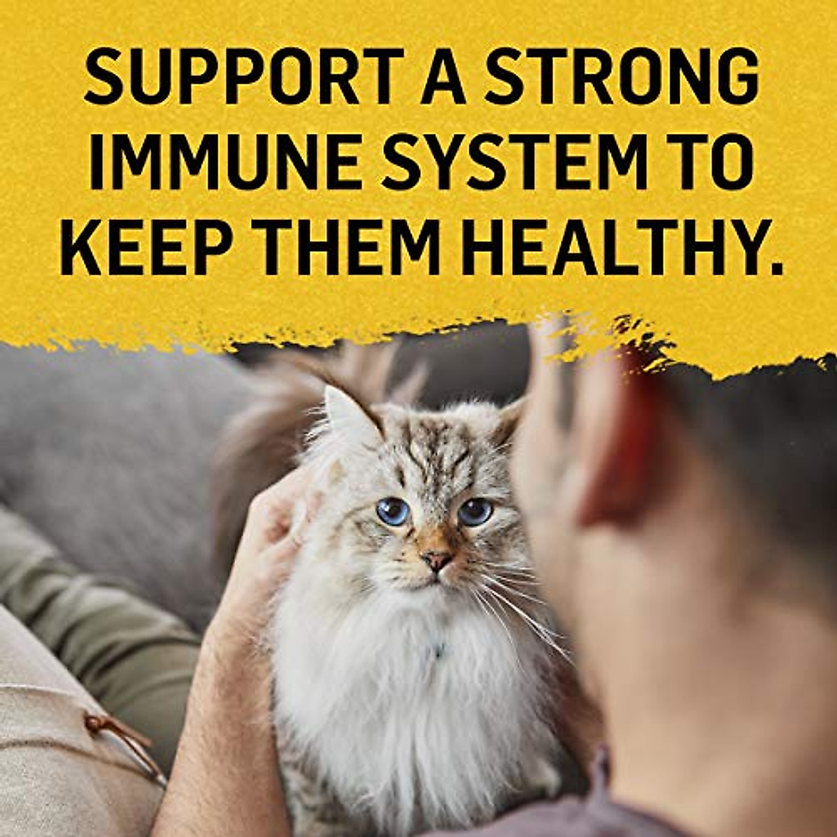 Beyond Purina Mixers+ Natural Cat Food Complement, Immune Support Chicken Bone Broth - (2 Packs of 8) 1.55 oz. Boxes