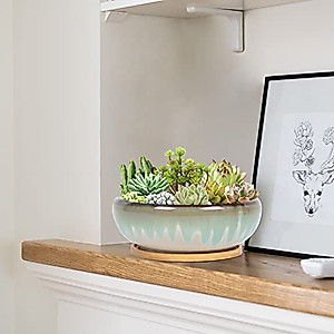 SQOWL 7 Inch Ceramic Succulent Planter Pot with Drainage Hole Drip Glazed Binsai Pot with Bamboo Tray for Indoor Plants