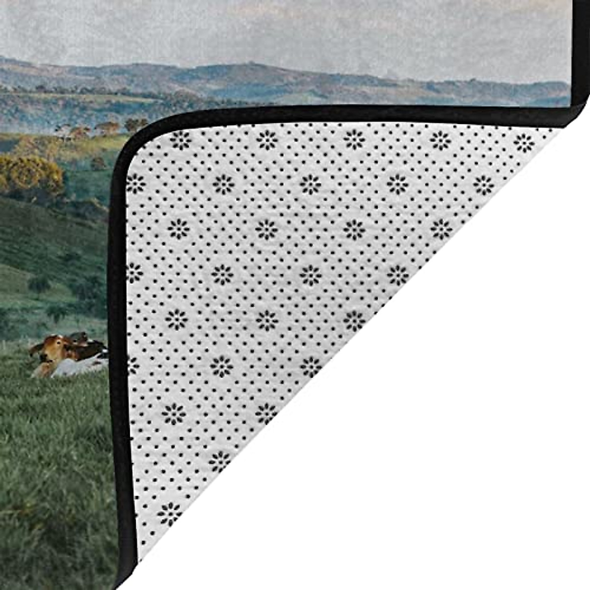 Custom Office Rug Personalized Area Rugs Design Your Logo Image Text Home Decoration Carpet for Bedroom Living Room (36 x 24Inch)