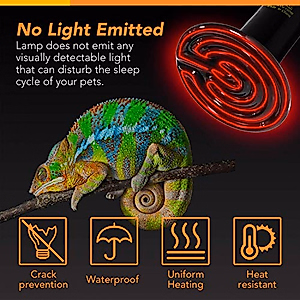 Simple Deluxe 100W 2-Pack Ceramic Heat Emitter Reptile Heat Lamp Bulb No Light Emitting Brooder Coop Heater for Amphibian Pet & Incubating Chicken, Black