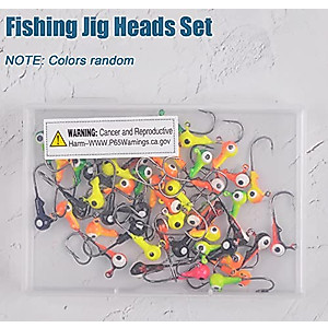Fishing Jig Head Hooks Round Ball Head Fishing Jigs Hook Bass Lures Crappie Jig Heads for Trout Walleye Freshwater Saltwater Surf Fishing Jigs 1/32oz