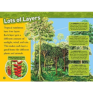 Rainforests (National Geographic Kids Readers, Level 2)