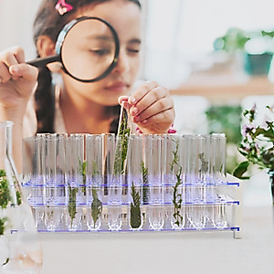 Test Tubes with Rack,50 Pack Clear Plastic Test Tubes16x100mm - with Secure Caps & Durable Holder Rack, Ideal for Scientific Experiments, Candy Beads Sample Storage, Kids Party Supplies (16x100mm)