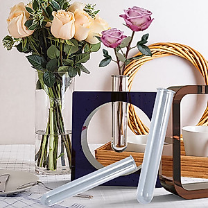 FineInno 9 Pcs Test Tubes, Plastic Plant Propagation Station Silicone Molds Transparent Tubes, Flowers Acrylic Test Tubes Round for Casting Mold