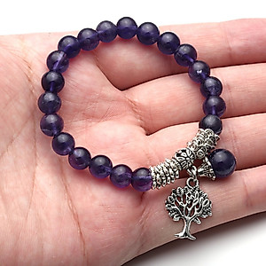 Jovivi 8MM Purple Amethyst Natural Gemstone Healing Crystals Point Life Tree Lucky Charm Stretch Bracelet