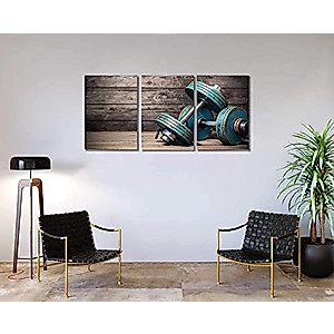 Modular Dumbbells Painting Modern Home Decor Poster 3 Pieces HD Printed Fitness Bodybuilding Gym Canvas Wall Art Wooden Art