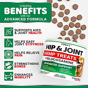 YUMA'S Hemp Hip and Joint Supplement for Dogs - Glucosamine for Dogs - 170 Dog Joint Pain Relief Chews - Chondroitin, MSM - Hemp Oil - Advanced Dog Joint Supplement Health - Mobility Support Treats
