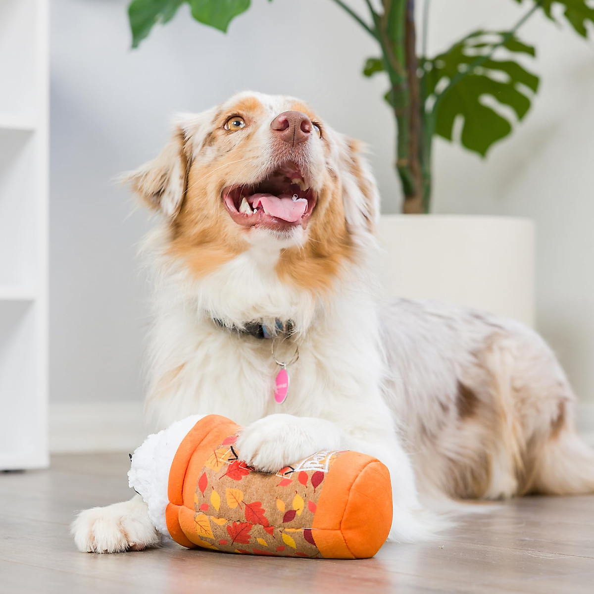 Huxley & Kent for Dogs | Puggin Spice Latte (Small) | Fall Funny Dog Toy | Power Plush Dog Toy with Squeaker | Dog Gift | Fun, Durable, and Safe | H&K Squeaky Dog Toy