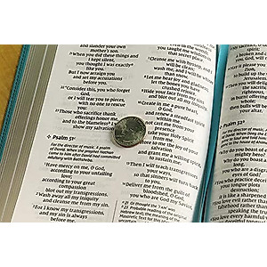 NIV, Personal Size Bible, Large Print, Leathersoft, Teal/Gold, Red Letter, Comfort Print