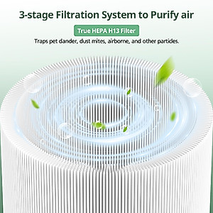 2 Pack 211i Max Replacement Fil-ter Compatible with BLUEAIR Blue Pure 211i Max Air Pur-ifier, Ture H13 HEPA & Activated Carbon Replacement Fi-lter, Compared part #F2MAX