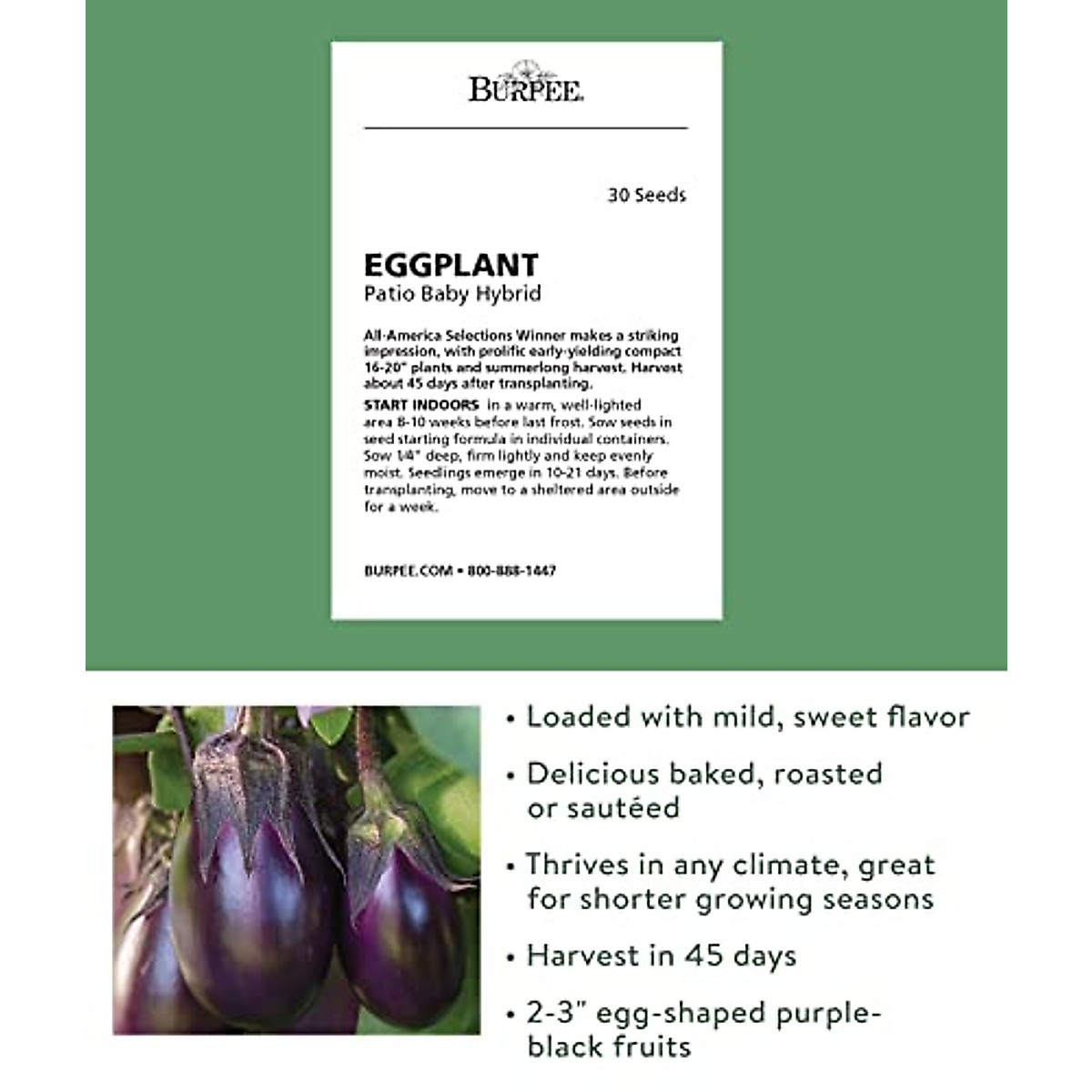 Burpee Patio Baby Eggplant Seeds 30 seeds