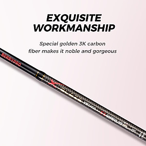 BERRYPRO Surf Rod Pure Carbon Surf Spinning Rod Graphite Surf Fishing Rod (9'/10'/11'/12') (12'-Spinning-2pc)