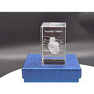 3D Human Heart Anatomical Model Paperweight with Laser Engraved High Definition Structure Made of Optical Crystal Glass Cube as Teaching Tool or Science Gift (No Included LED Base)(5x5x7.5 cm)