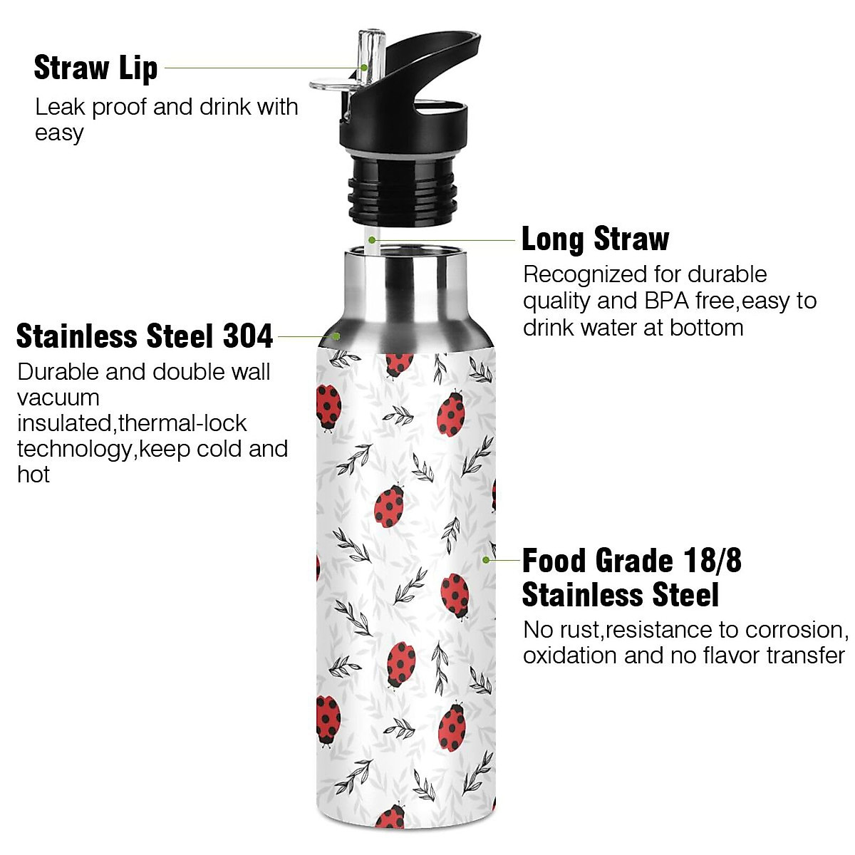 Ladybugs Funny Spring Pattern Insulated Water Bottle with Straw, Stainless Steel Sports Water Bottles, Double Wall Vacuum, Leakproof, BPA-Free 35 oz