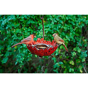 Desert Steel Coral Sunset Peony Hanging Feeder - (Orange - 9”W x 11.5”H) - Loose Seed Metal Birdfeeder