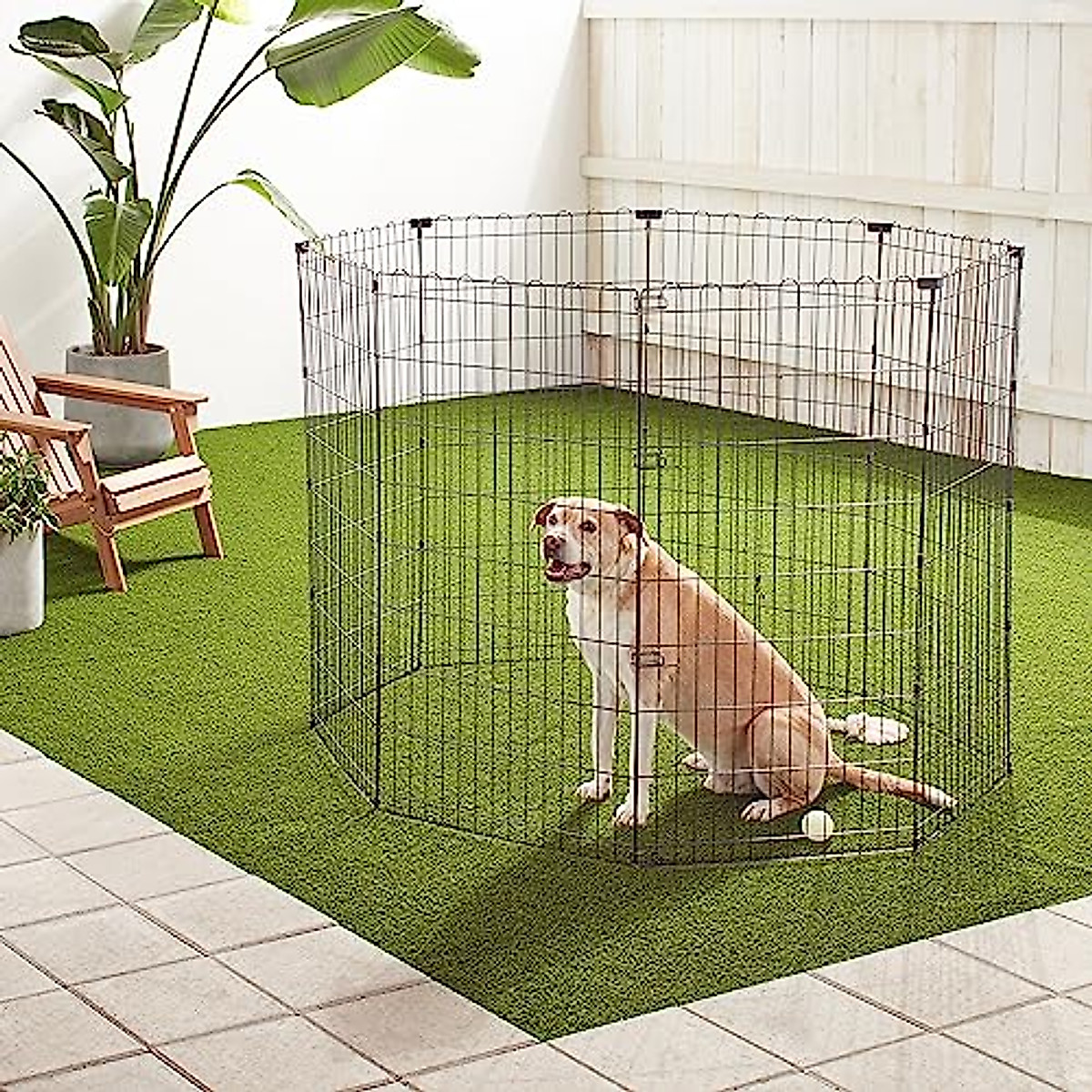 Amazon Basics Foldable Octagonal Metal Exercise Pet Play Pen for Dogs, Fence Pen, No Door, Large, 60 x 60 x 48 Inches, black