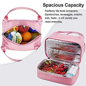 DiiCCi Pink Lunch Box Bag for Women,Double Deck Insulated Lunch Bags for Adult,Small Cute Lunch Bag Tote Bag for Work,Reusable Leakproof Lunch Cooler Bag for Travel Office Picnic Hiking