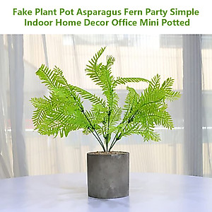 Artificial Shrubs, Plastic Asparagus Fern Leaves Grass Simulation Fake Bushes Outdoor Indoor Home Garden Verandah Kitchen Parterre Table Centerpieces Arrangements Decoration Green(Light Green)