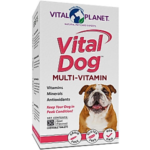 Vital Planet - Vital Dog Multi Vitamin Chewable Tablet Supplement for Everyday Health with Vitamins, Minerals and Antioxidants for Dogs - 30 Beef Flavored Chewable Tablets
