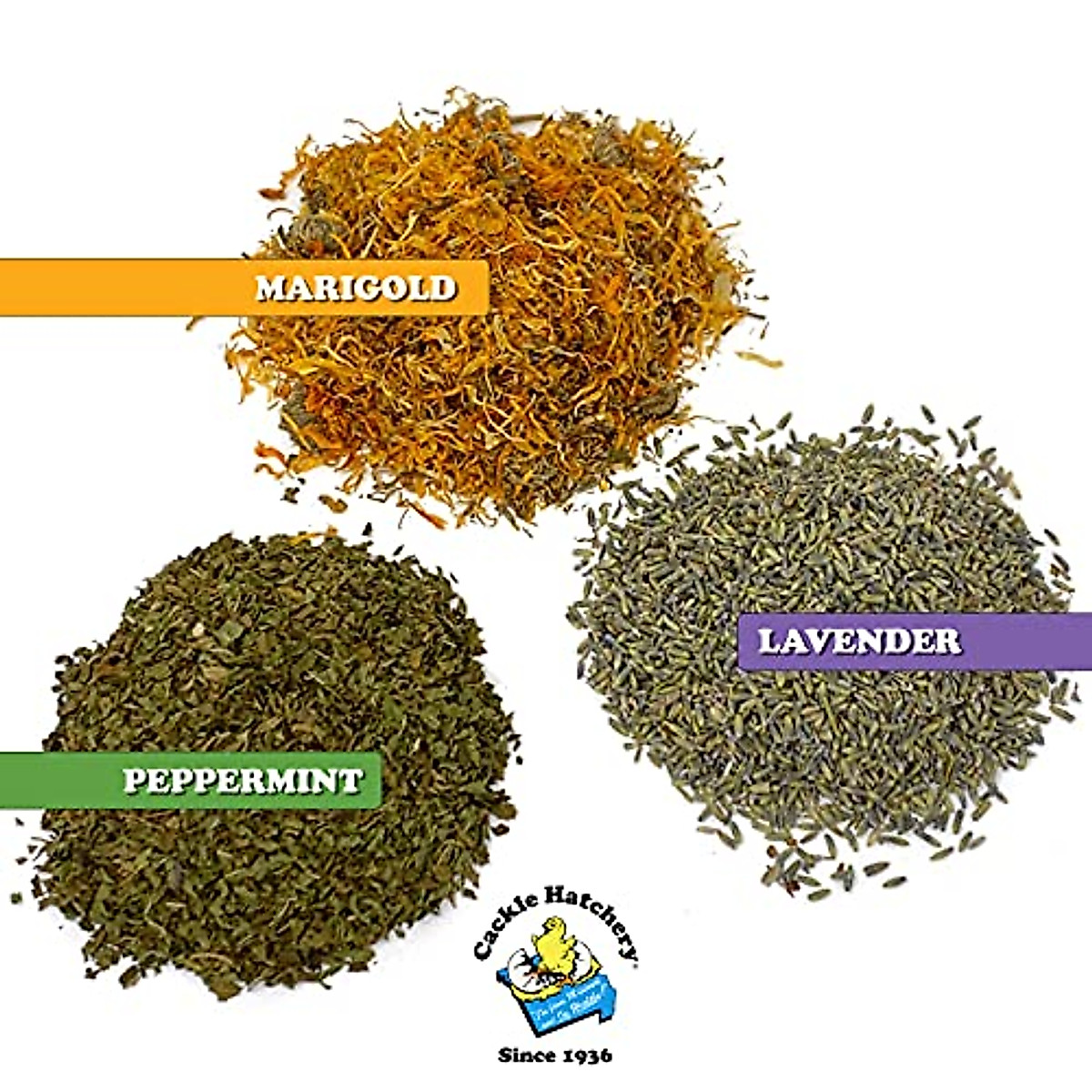 Cackle Hatchery Nest Box Accessory Kit (Standard) - Nest Box Pads, Nesting Herbs, Ceramic Nest Eggs, & Egg Cartons