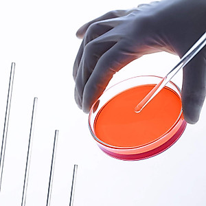 Young4us Glass Stirring Rod - 12" 10" 8" 6" 4" Long, 5 MM Diameter - 5 Pack