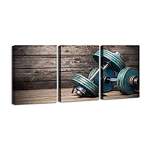 Modular Dumbbells Painting Modern Home Decor Poster 3 Pieces HD Printed Fitness Bodybuilding Gym Canvas Wall Art Wooden Art