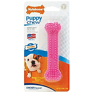 Nylabone Dental Bone Puppy Dog Chew Toy, Petite Pink