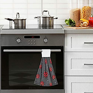 Blueangle Set of 2 Red Ladybugs Hanging Tie Towels Kitchen Hand Towel Absorbent Soft Coral Velvet Dish Wipe Cloth for Kitchen Bathroom