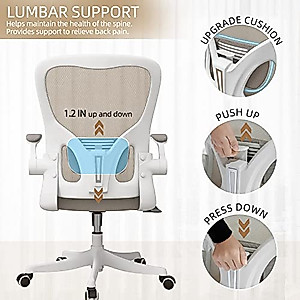 Monhey Office Chair - Ergonomic Office Chair with Lumbar Support & Flip-up Arms Home Office Desk Chairs Height Adjustable High Back Rockable Computer Chair Swivel 360° Warm Taupe Mesh Study Chair