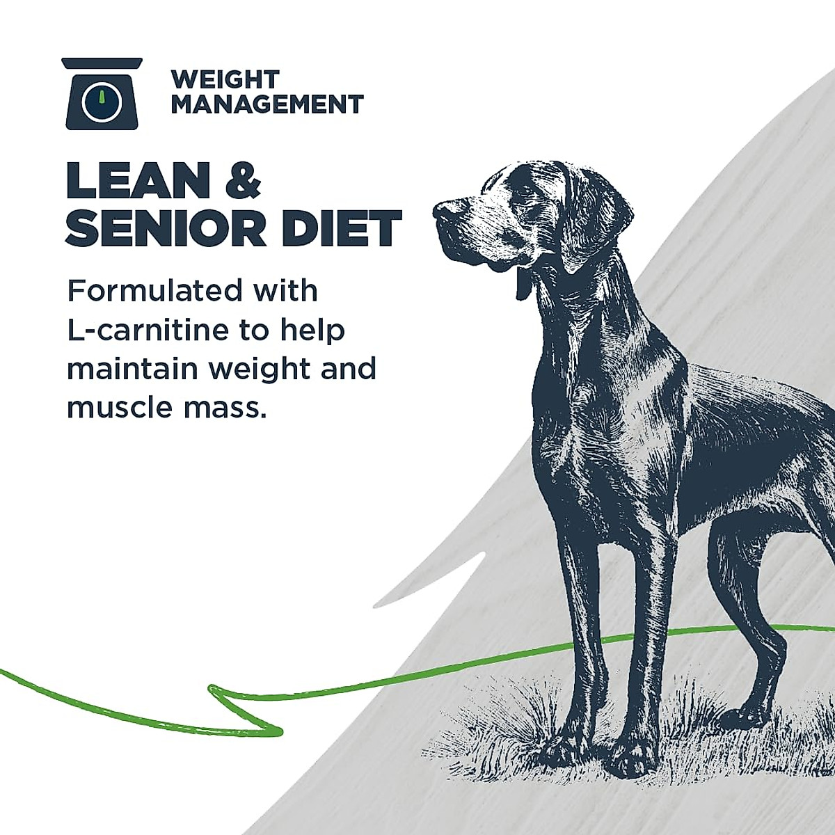 Blackwood Lean/Senior Dry Dog Food, Chicken Meal with Ancient Grains, 4.5 Pound Bag for Weight Management and Muscle Mass Maintenance