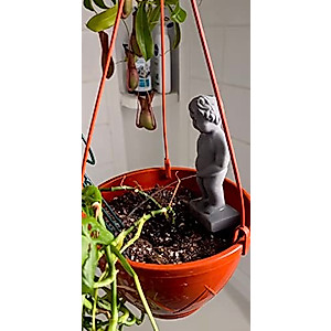 NPW-USA Plant Life Pee My Plants, Garden Statue, Color-Stone