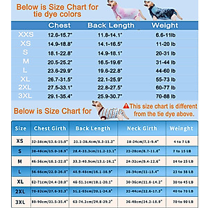 Puptoceed Dog Surgery Rrecovery Suit Dog Onesies for Surgery Recovery Dog Body Suits After Surgery Dog Recovery Suit Surgery Suit for Dogs Dog Surgery Suit Dog Neuter Recovery Suit,M