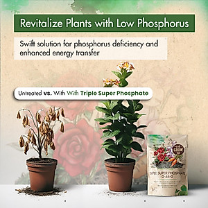 Triple Super Phosphate 0-46-0 Fertilizer, High Phosphorus Fertilizer for Stronger Roots & Flower Formation, Ideal Super Phosphate Fertilizer for Plants - Flowers, Fruits, Vegetables & Turf, 5 lb.