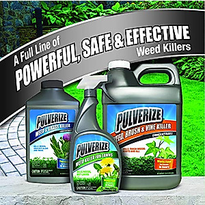 Pulverize Weed Killer for Lawns Concentrate
