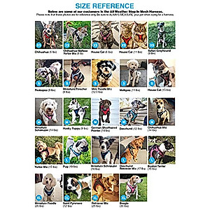 Voyager Step-in Air Dog Harness - All Weather Mesh Step in Vest Harness for Small and Medium Dogs by Best Pet Supplies - Harness (Fuchsia), Small