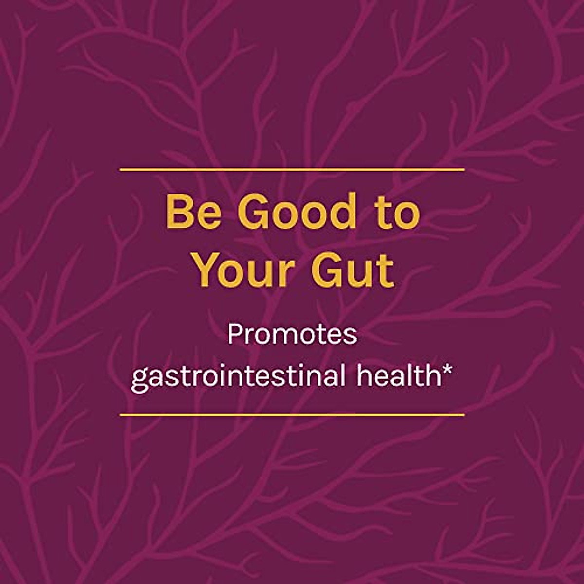 Host Defense, Turkey Tail Mushroom Powder, Supports Immune Health, Mushroom Supplement, Plain, 3.5 Ounce (Pack of 1)