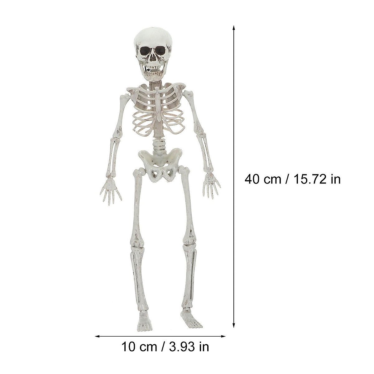 The Mannequin Halloween Skeleton Plastic Models Mannequin Maniquin Scary Halloween Decorations Anatomy Teaching Tools Toy Decorate Props The Sign Some Joints Movable Full Body Mannequin