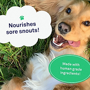 Petpost | Snout Balm for Dogs - Nourishing Snout Soother Balm Heals Dry Dog Noses with Moisturizing Ingredients - Organic Coconut Oil, Jojoba Oil, and Shea Butter 0.64 oz.