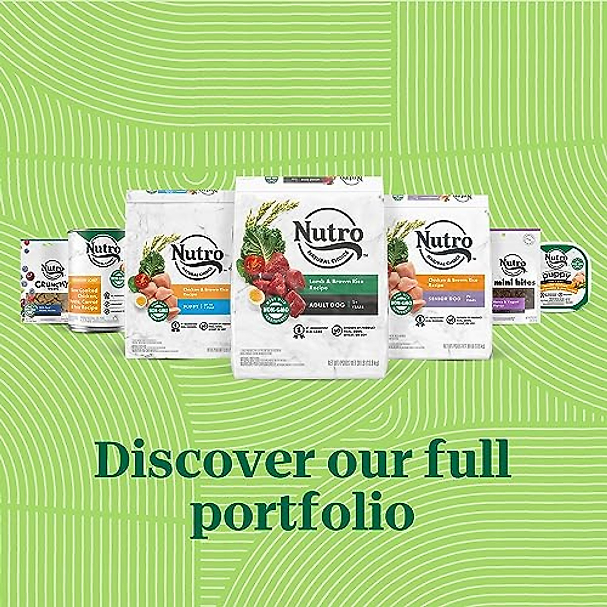 Nutro Natural Choice Adult Small Bites Dry Dog Food, Chicken & Brown Rice Recipe Dog Kibble, 5 lb. Bag