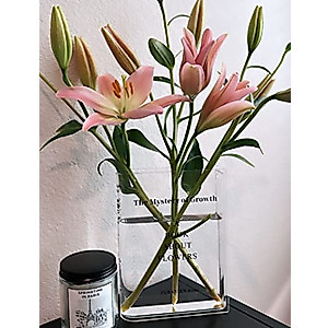 Puransen Book Vase for Flowers, Acrylic Clear Book Flower Vase, A Book About Flowers Vase, Unique Home/Bedroom/Office Accent Flowers Vase Decor(Clear - B)