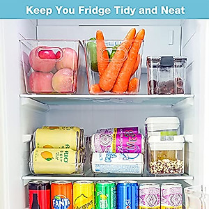 Puricon Can Drink Dispenser Organizer Bundle with Clear Kitchen Organizer