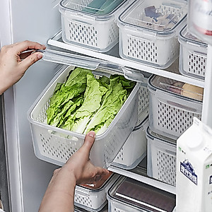 CD HOME 4 PCS Fruit Containers for Fridge -Airtight Food Storage Containers with Removable Colander - Dishwasher & microwave safe Produce Containers Keep Fruits,Berry, Vegetables, Fresh longer