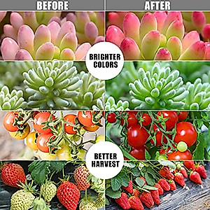 PYLYFE Full Spectrum Plant Grow Light, Grow Lights for Indoor Plant, Clip-on Full Spectrum Grow Light, Flexible Gooseneck, Automatic Timer, 4 Brightness Levels for Seedling Growing Blooming Fruiting 