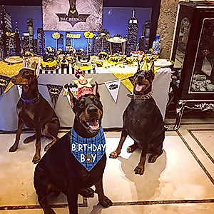 Waghaw Dog Birthday Party Supplies, Dog Birthday Bandana Girl Boy Scarf and Dog Birthday Hat for Small Medium Large Dogs Pets (Blue one, Small (Pack of 1))